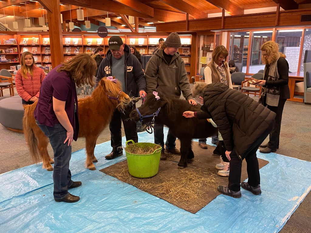 Dreams on Horseback at Library – Pickerington Online
